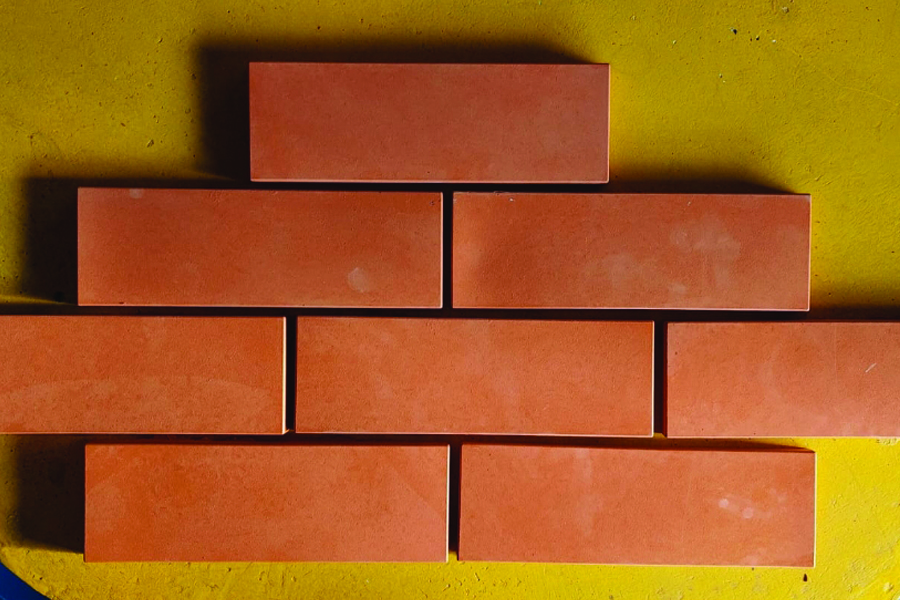 Rupa Eco Brick | Best Brick, Tiles & Paver in Berhampore, Top Paver in ...